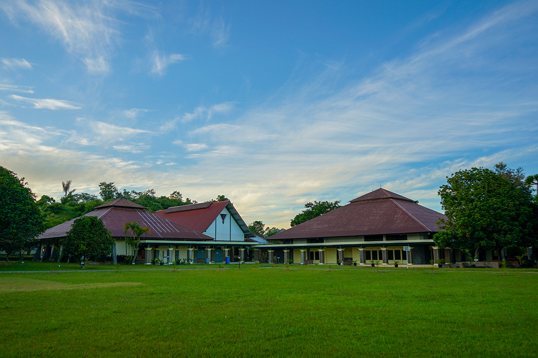 Institut Teknologi Del
